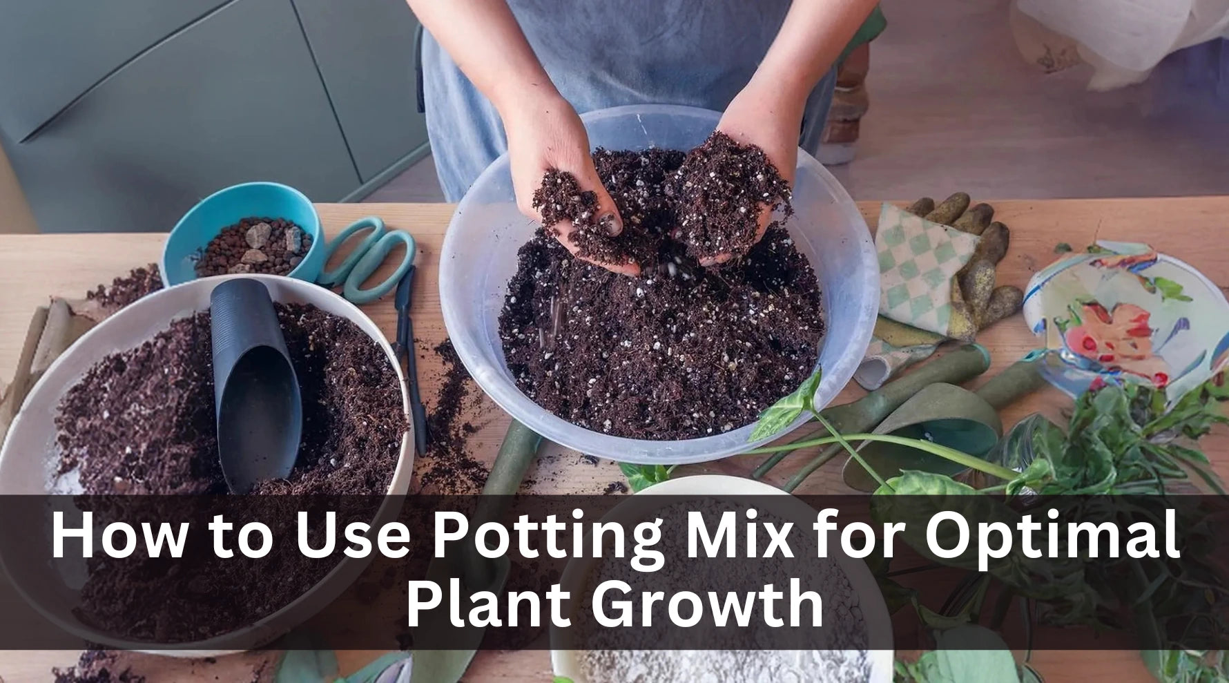 Step-by-Step Guide to Using Potting Mix Effectively – BestCocopeat